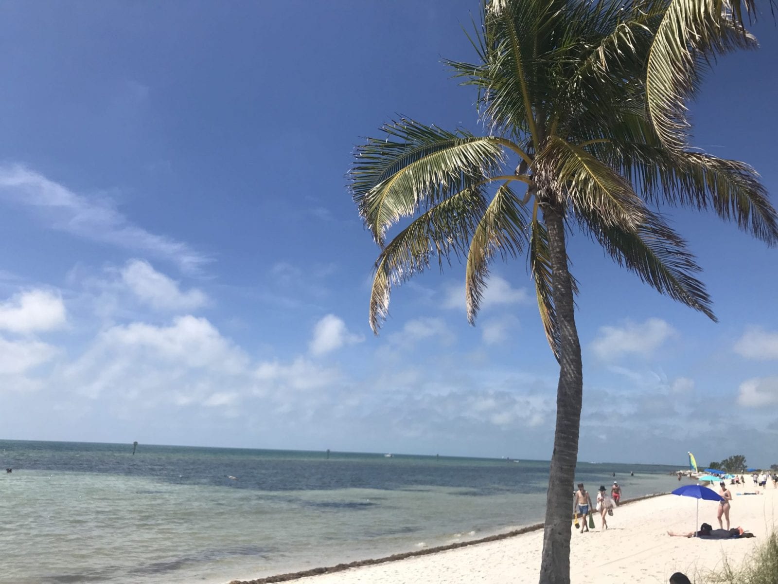 Florida Keys Guide - Alle Infos zur Anreise, Sehenswürdigkeiten & Tipps
