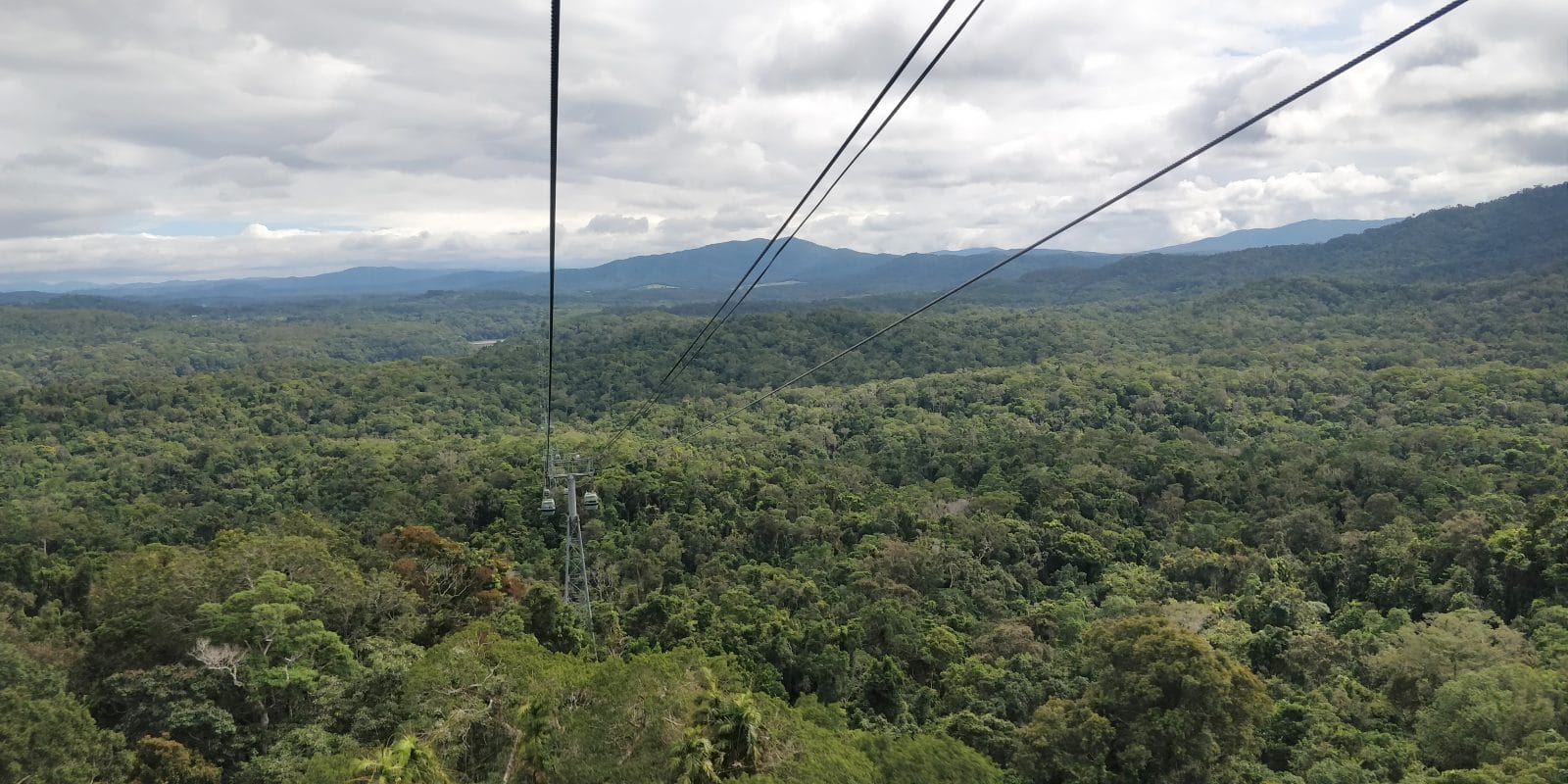 Destination Guide: Kuranda mit Skyrail & Kuranda Scenic Railway