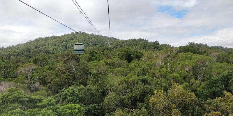 Destination Guide: Kuranda mit Skyrail & Kuranda Scenic Railway