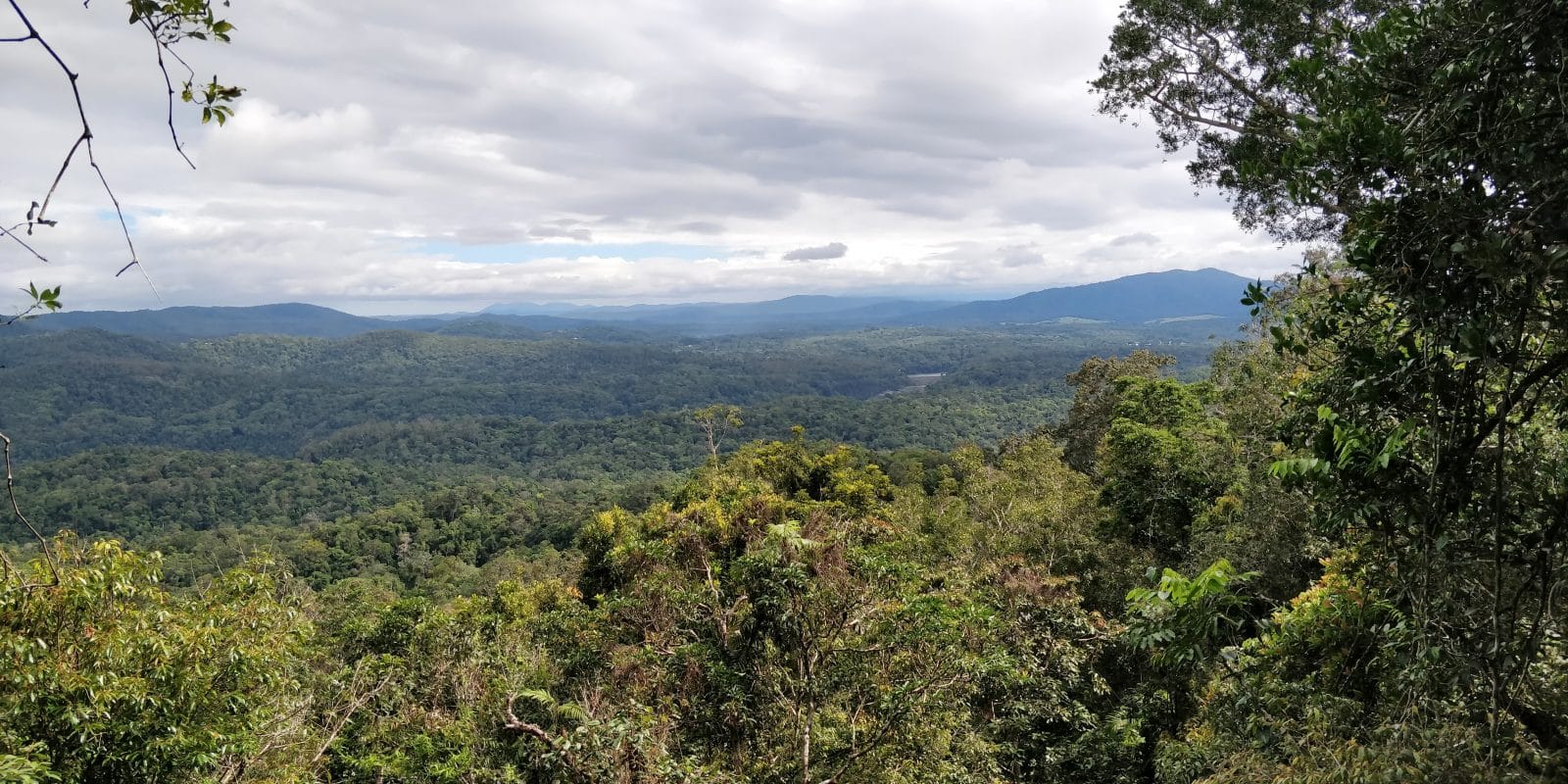 Destination Guide: Kuranda mit Skyrail & Kuranda Scenic Railway
