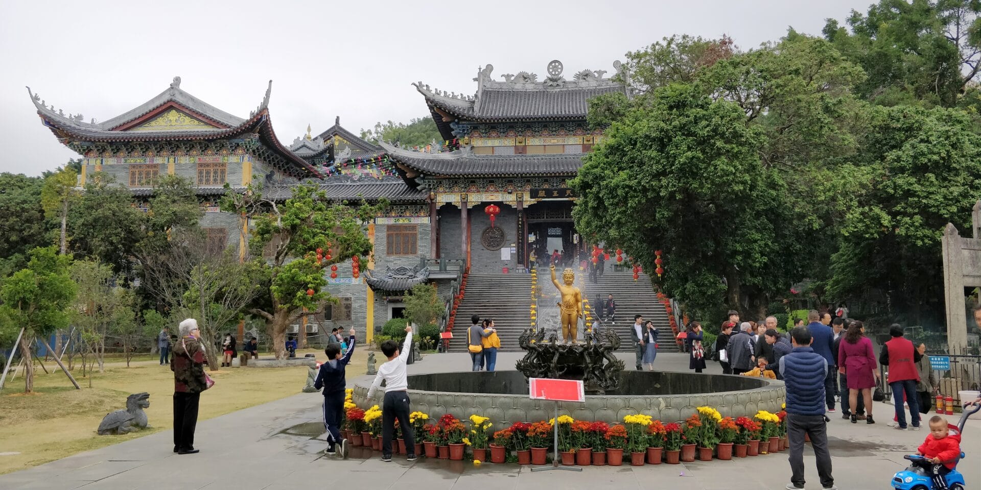 City Guide: Alle Infos zu Shenzhen - Highlights & mehr | reisetopia