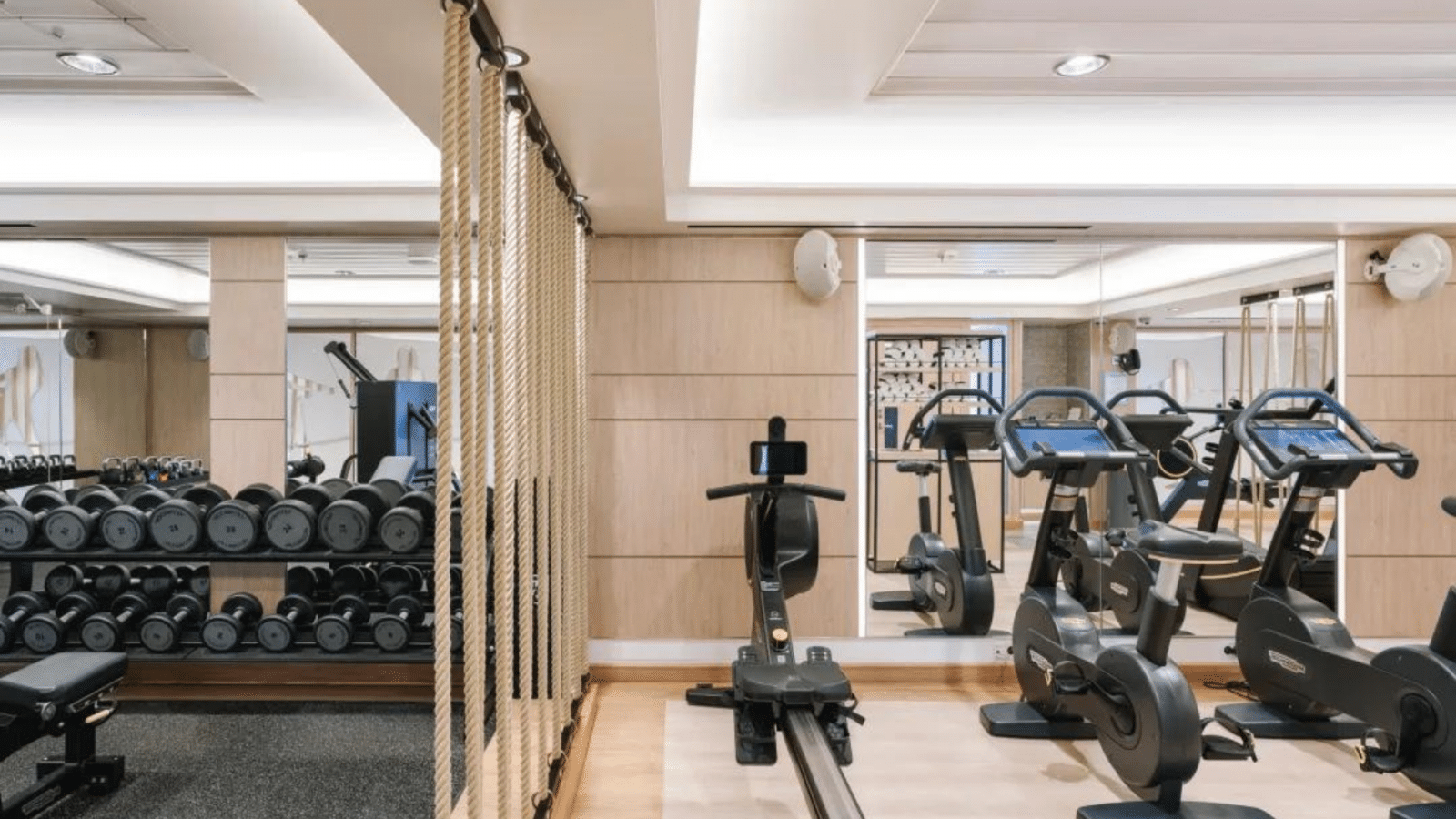 MS Fridtjof Nansen: Alle Infos zum Schiff, Kabinen, Kulinarik & mehr | 2025