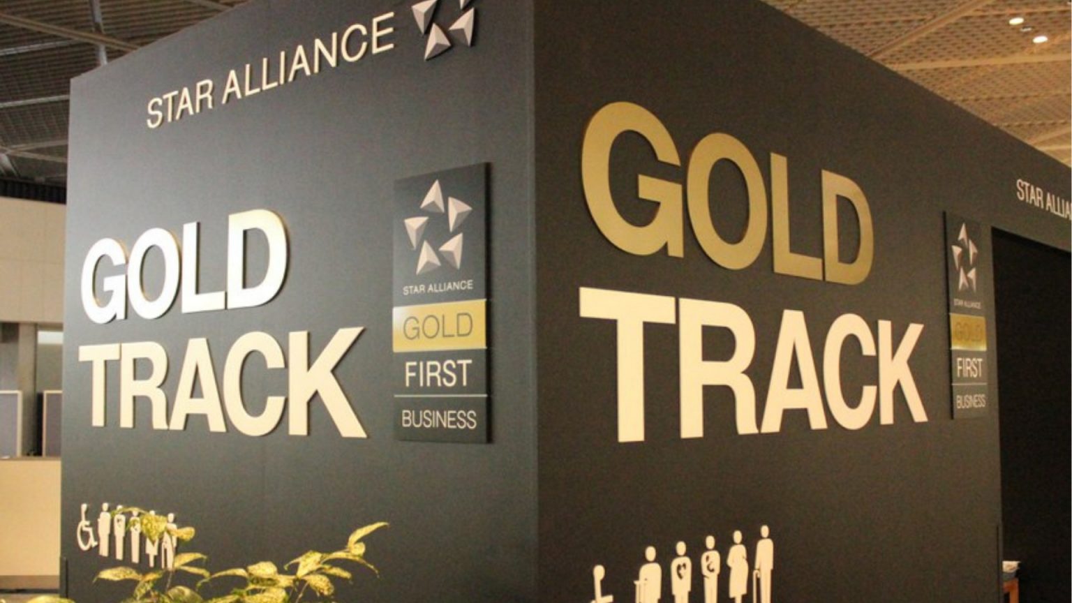 Star Alliance Gold: Lohnt sich der Status? Vorteile & Wege im Überblick