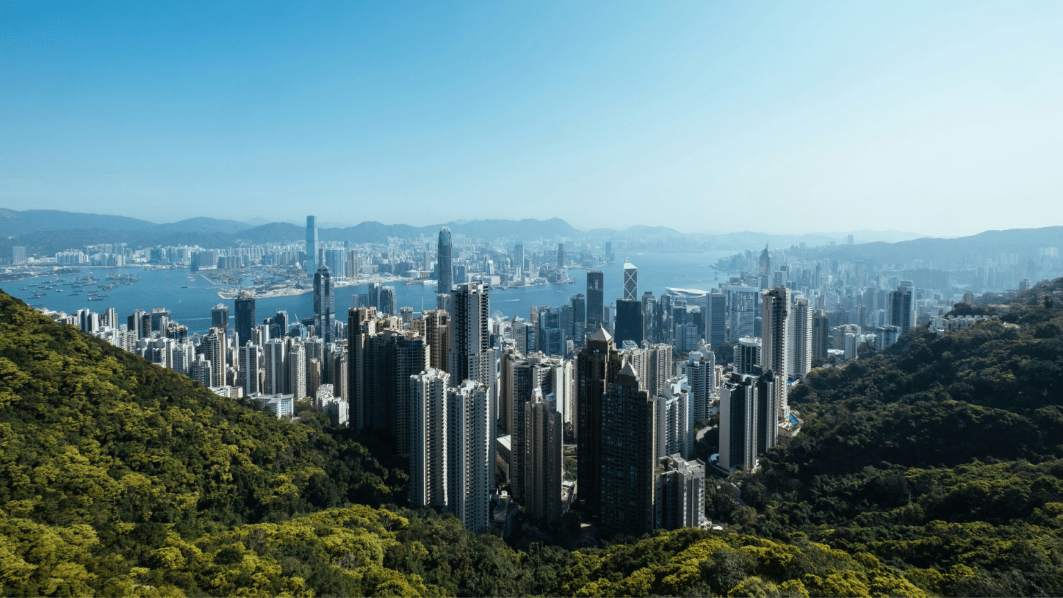 E-Ident-Verfahren - Wie funktioniert die Online Identifikation?