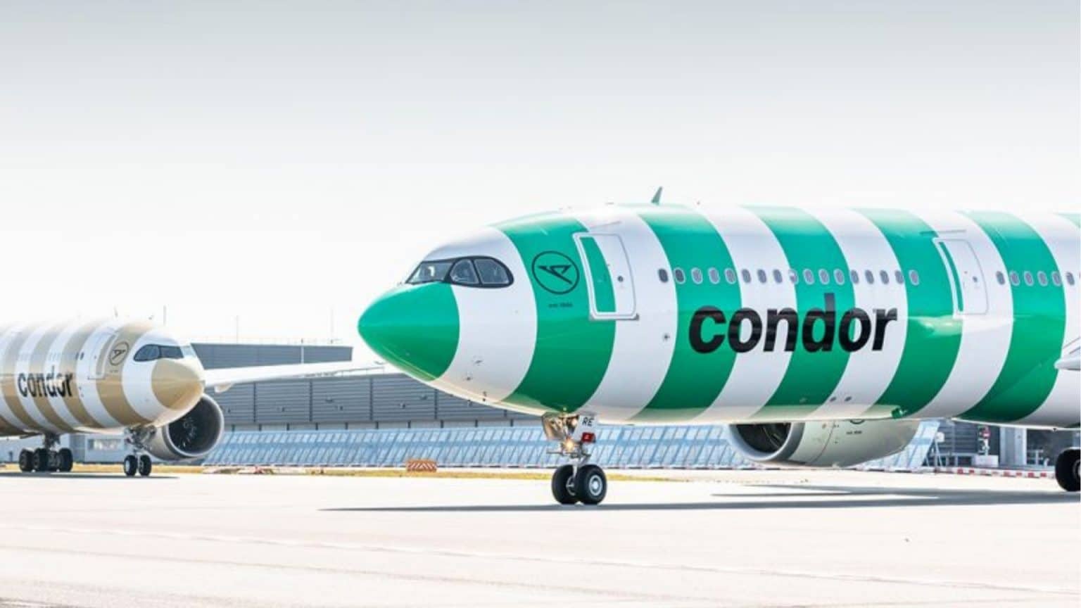 Teilnahmebedingungen für Condor-Vielfliegerprogramm einsehbar